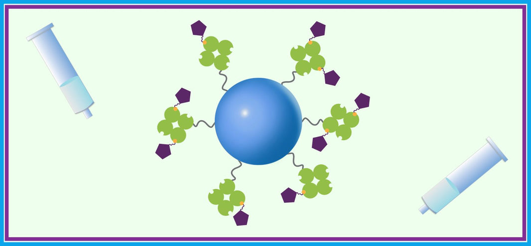 How to Elute Biotinylated Proteins and Nucleic Acids from Streptavidin ...