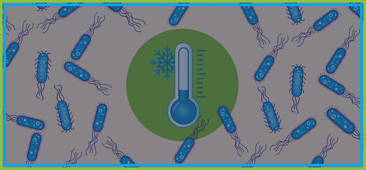 A Quick Overview of SOC Medium & Competent Cell Recovery Medium – GoldBio