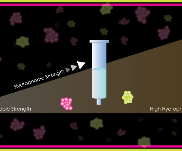 An Overview of Hydrophobic Interaction Chromatography – GoldBio