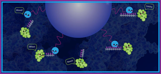 Chromogenic Substrates Overview – GoldBio